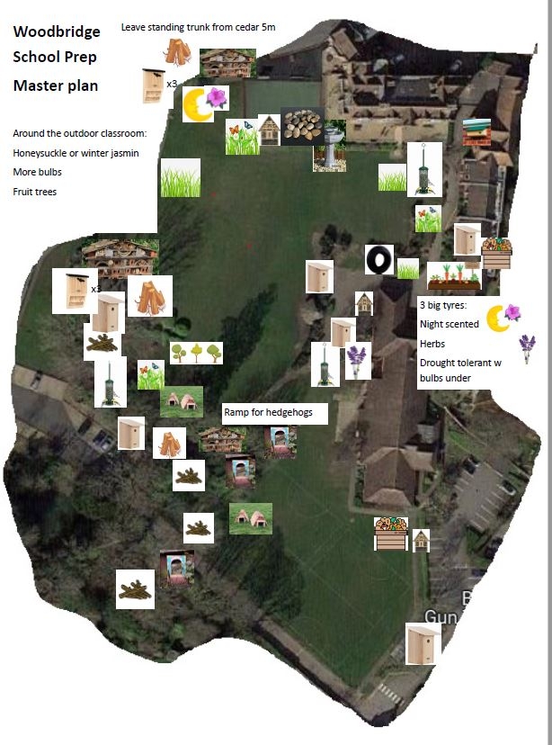 Wilder School - Woodbridge School Prep | Suffolk Wildlife Trust